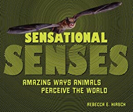 Sensational Senses Review