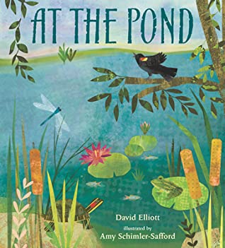 At the Pond Review